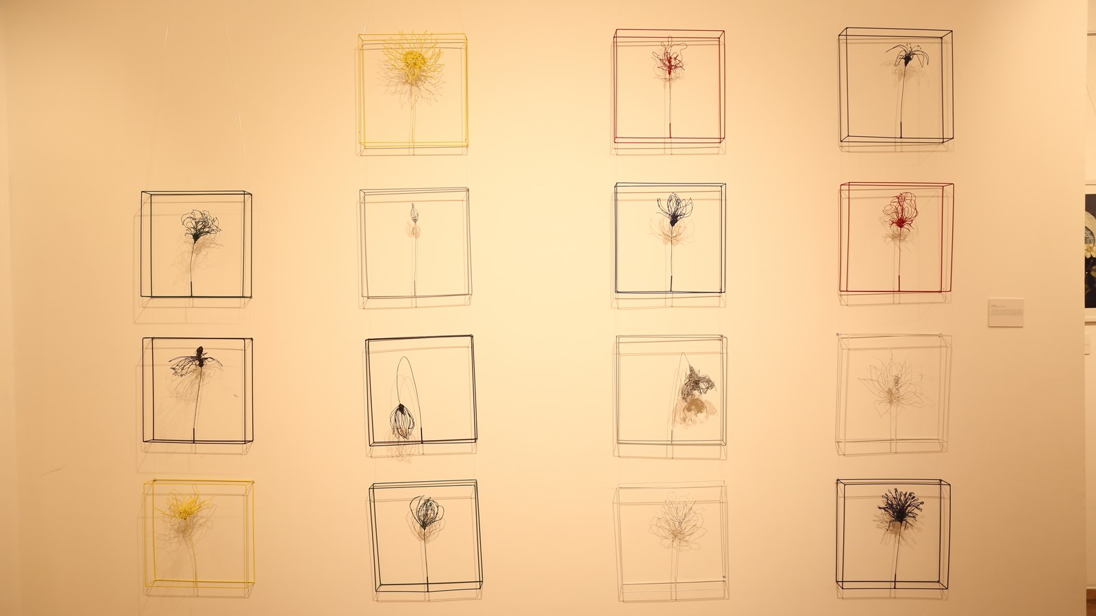 ‘Botanical Tapestry: Threads of Nature’: An art exhibition exploring ...