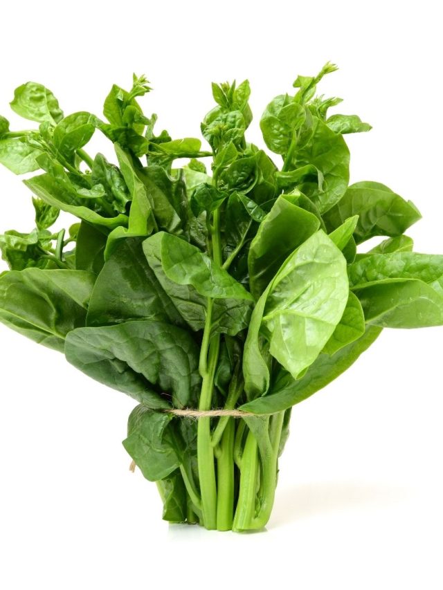Malabar Spinach: A flavorful alternative to regular spinach you should ...