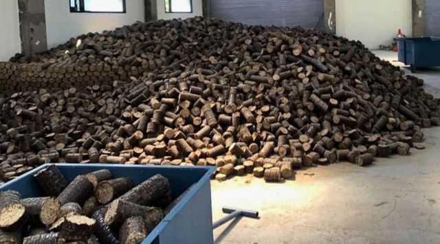 Paddy stubble burning season starts: Punjab decides to replace 20% fuel ...