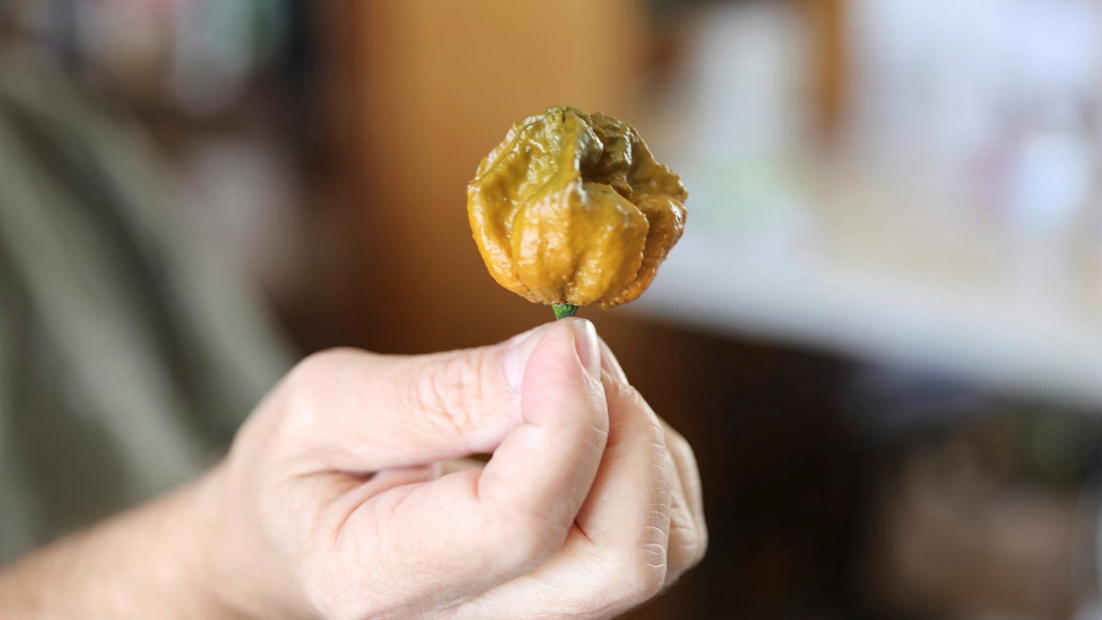 Pepper X is world’s hottest chilli pepper. How is it different from ...