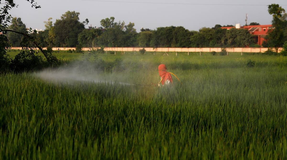 Delhi government to spray Pusa bio-decomposer over 5,000 acres of land ...
