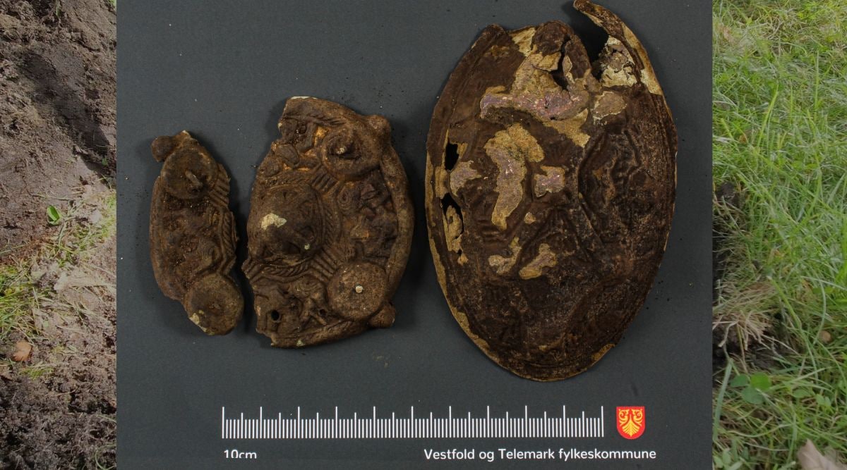 Family in Norway accidentally unearths 1,200-year-old Viking relics ...