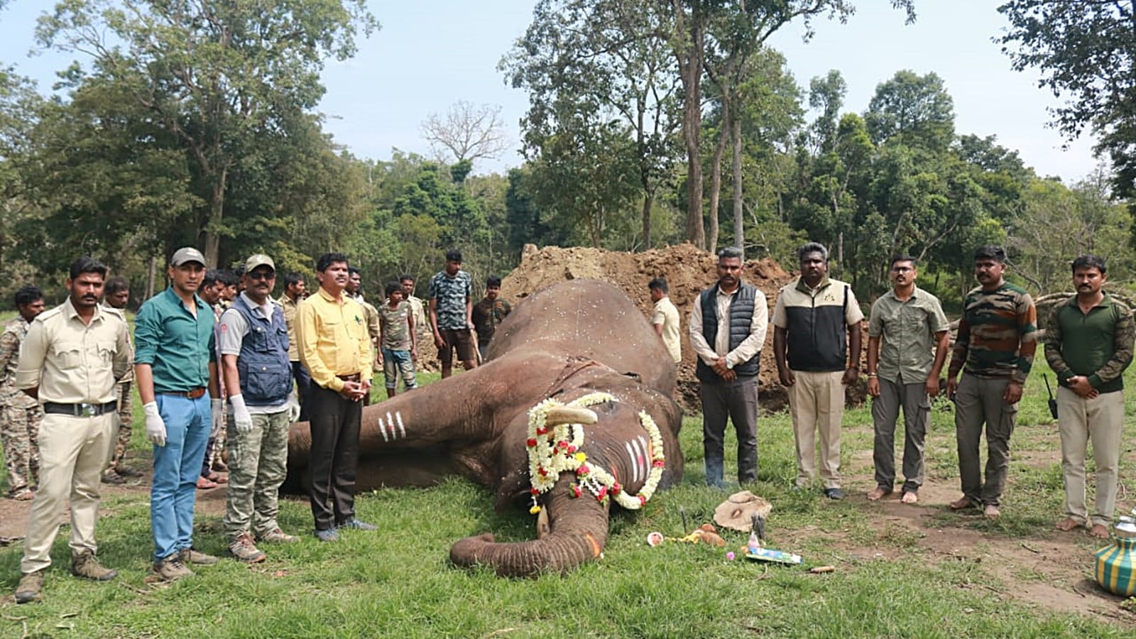 Tusker Akki Raja dies of cardiac arrest at Karnataka’s Rampura elephant ...