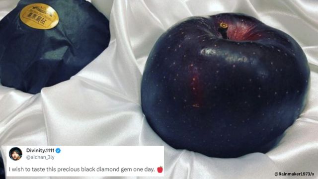 Black diamond apples, a luxurious rarity from Tibet worth Rs 500 each ...