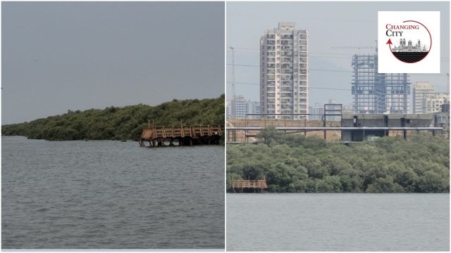 Changing City: Gorai Mangrove Park – A model of environmental harmony ...