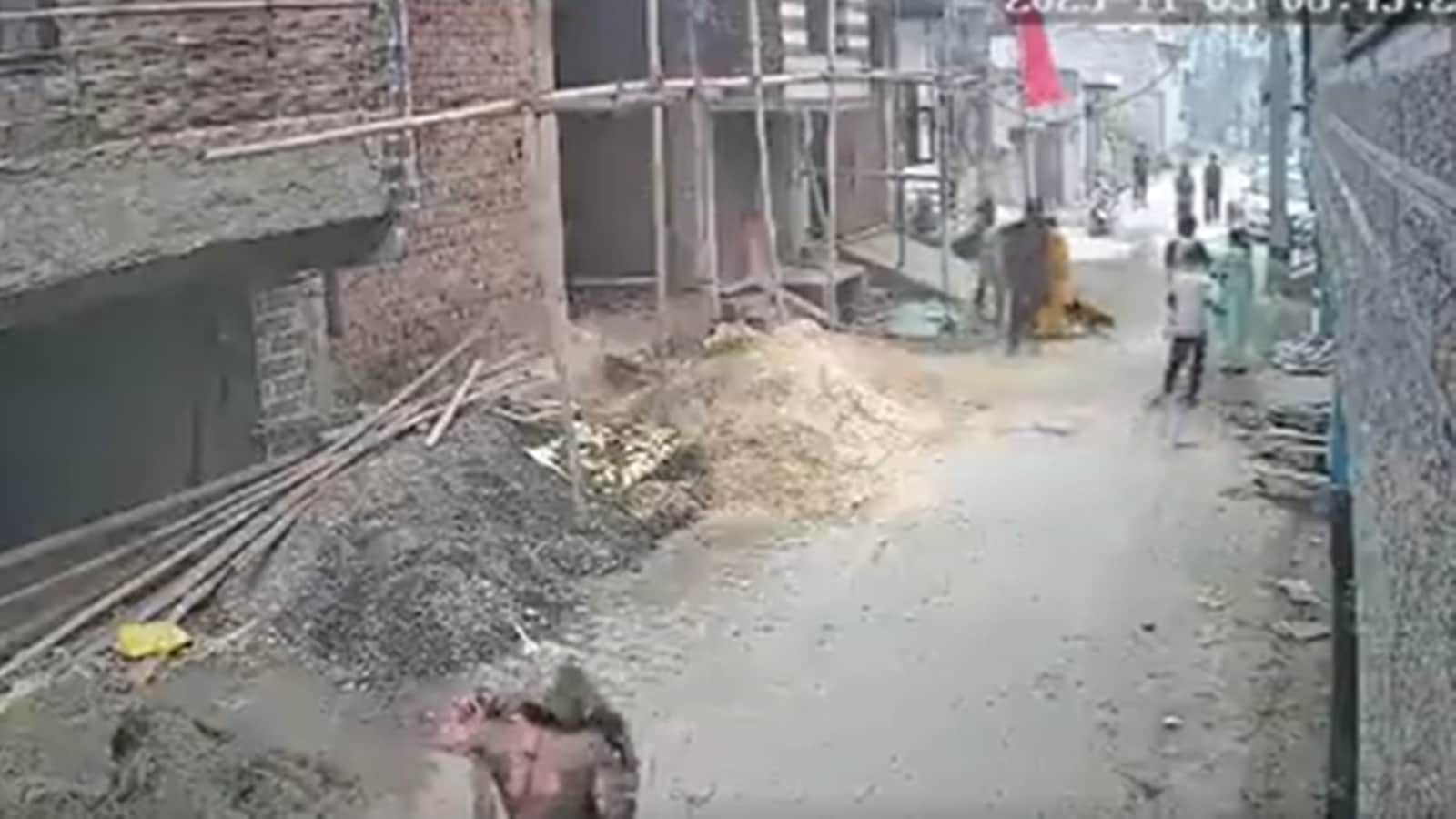 Woman protests Pitbull defecating outside her home in Delhi, owner sets ...