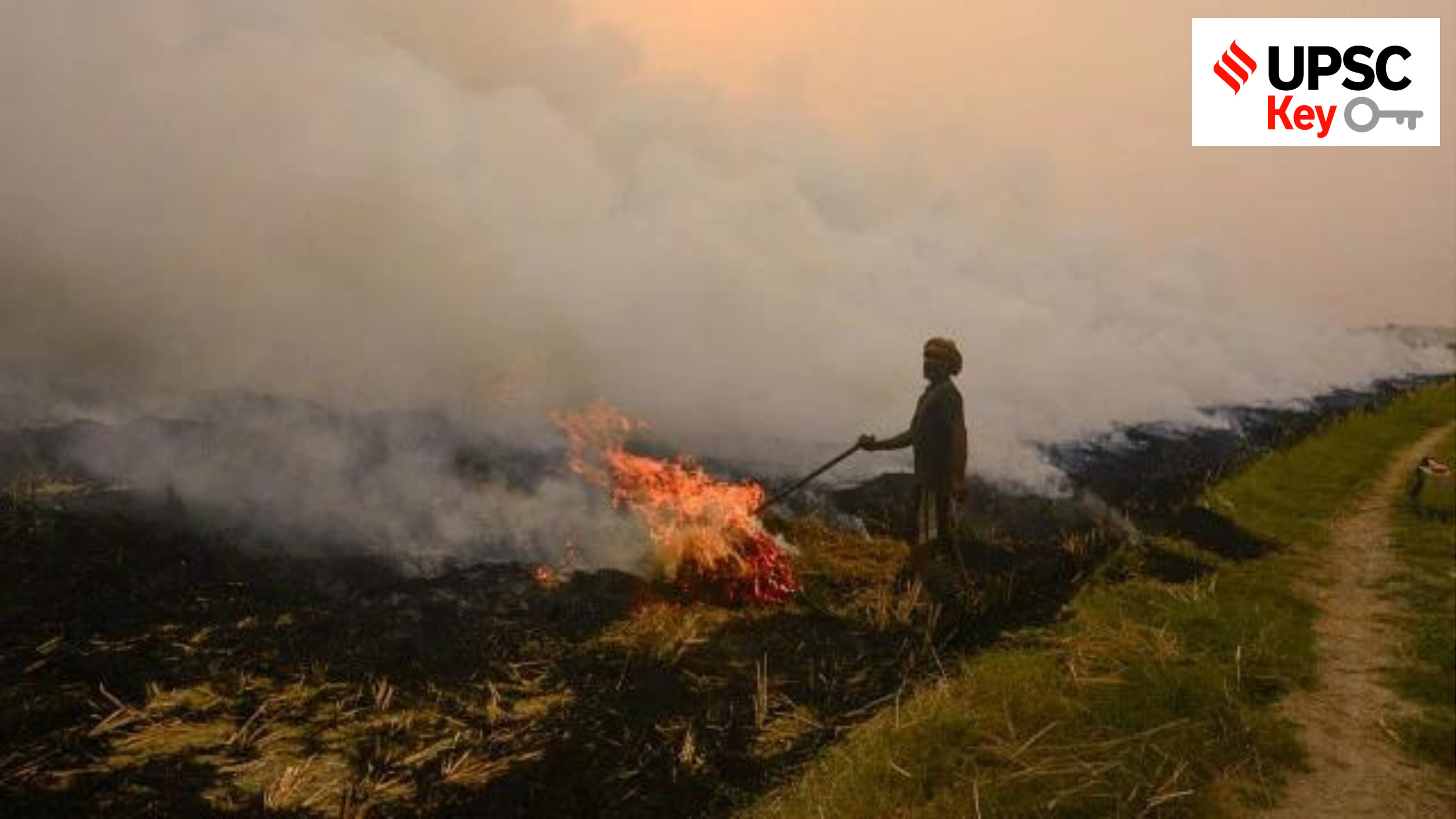 UPSC Key—22nd November, 2023: Hamas, Climate Negotiations, In-Situ and ...