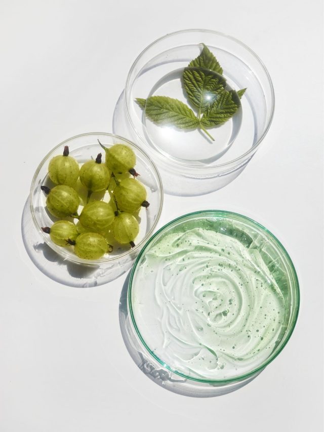 Unlocking the benefits of amla for a healthy winter season | The Indian ...