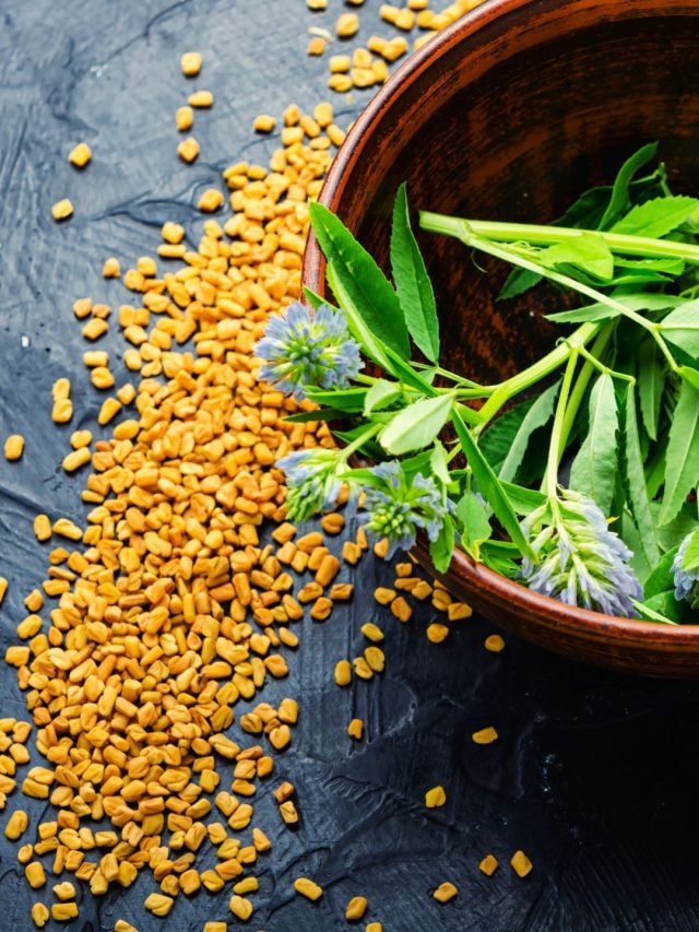 Health benefits of methi | The Indian Express