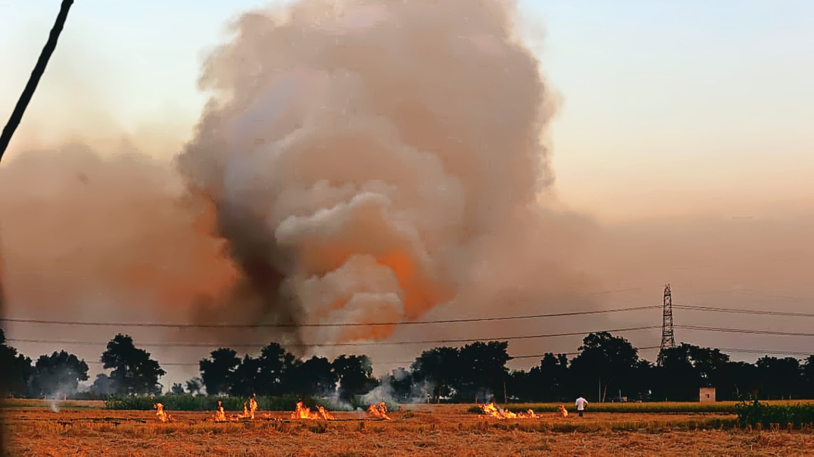 ‘Punjab should take cue from Haryana, take swift steps against stubble ...
