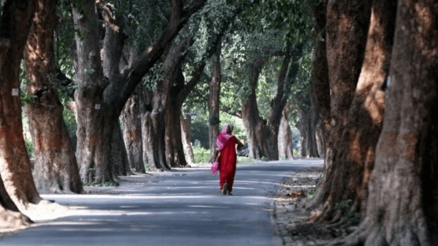 IIT-BHU incident shows why women continue to feel unsafe on university ... IIT-BHU incident shows why women continue to feel unsafe on university ...