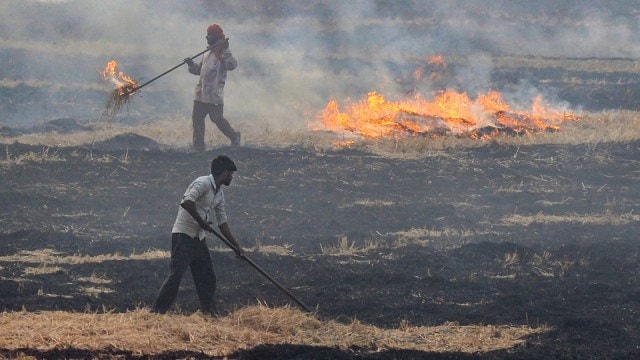 Booked and told to pay fine for burning crop residue, Punjab farmers to ...