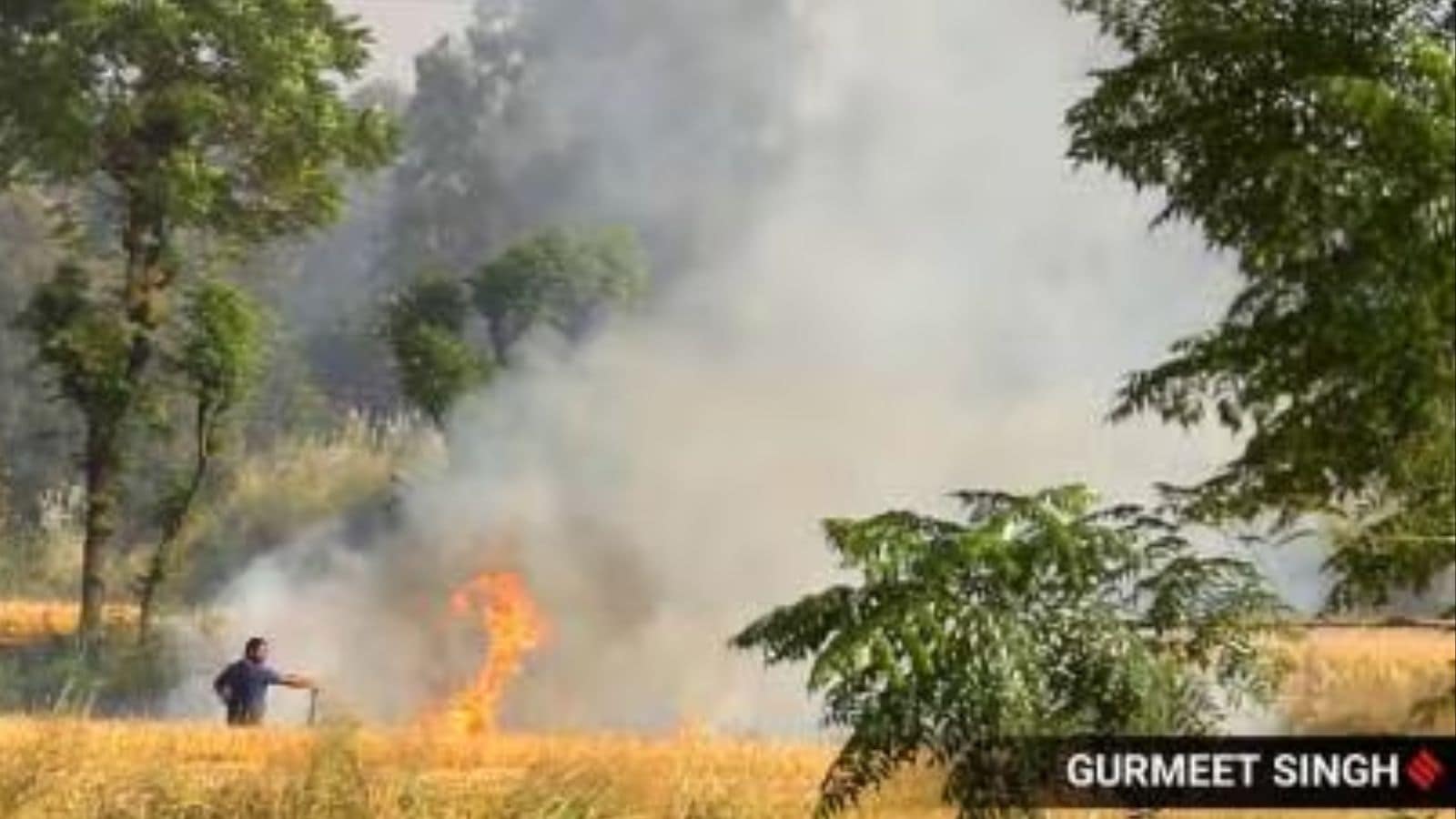 Goodbye to farm fires as Punjab farmers set to complete wheat sowing ...