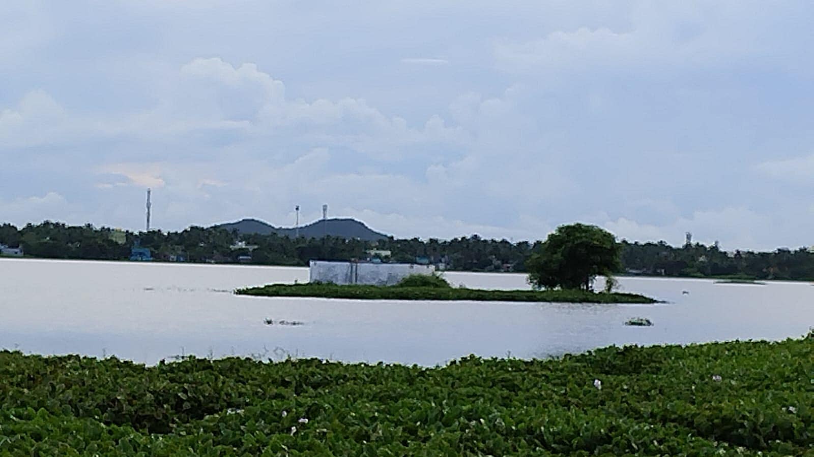 Tamil Nadu: Activists allege drinking water supplied from Madambakkam lake in Tambaram ...