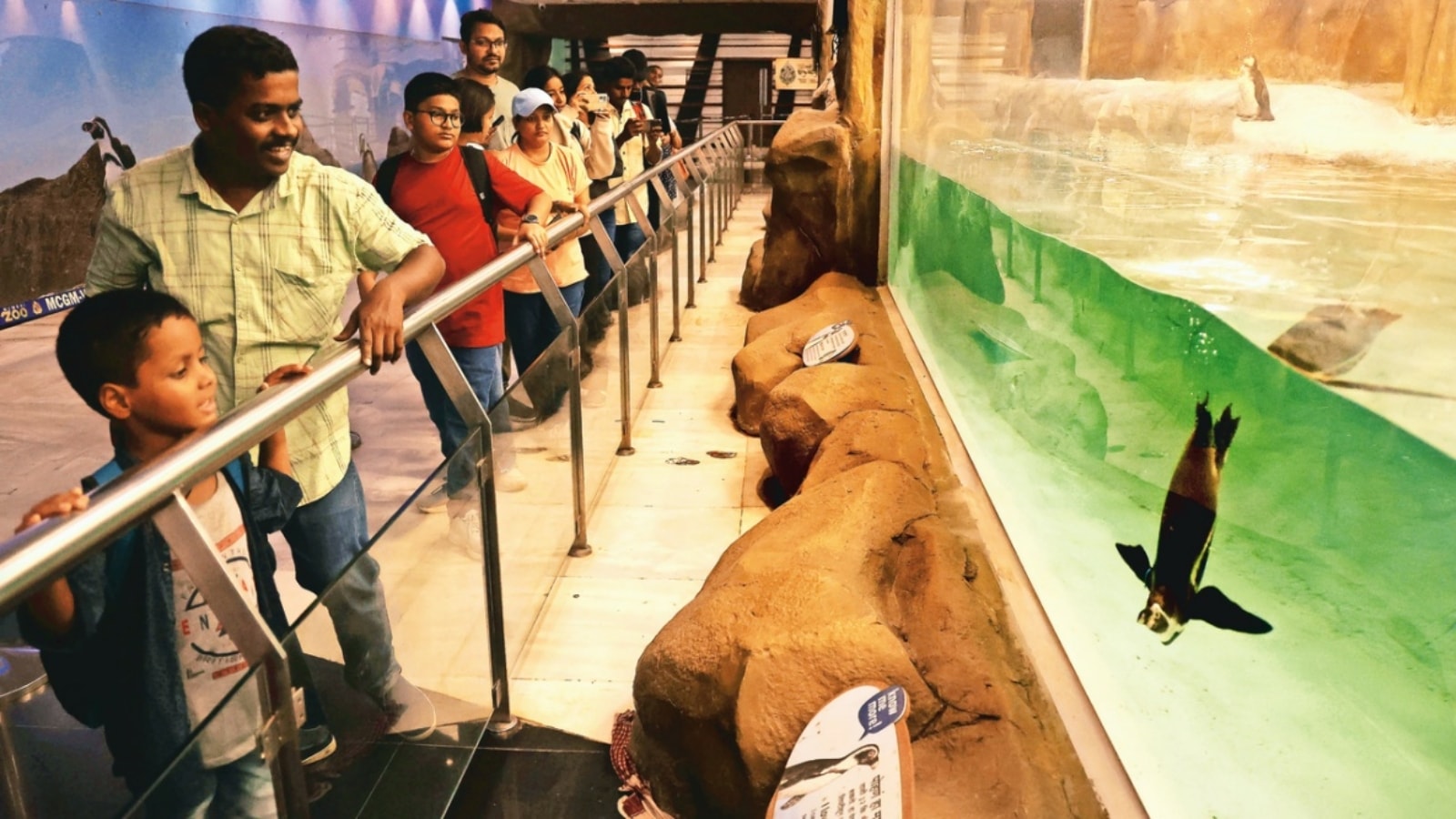 Six pythons, exotic lizards go missing from Dadar zoo | Mumbai News ...