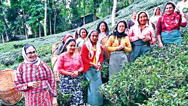 In CM’s sops for tea workers, hint of scheme’s bleak future | Kolkata ...