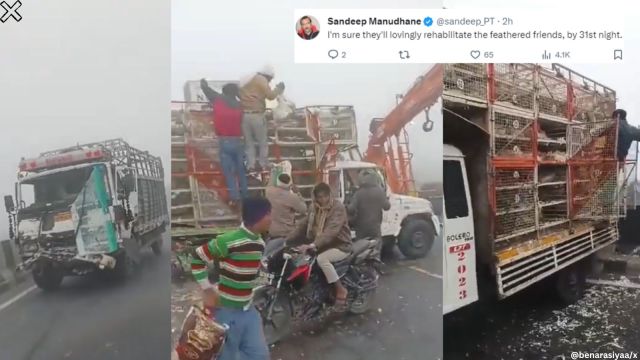 Chaos in Agra as chicken lorry accident leads to feathered frenzy amid dense fog | Trending News ...