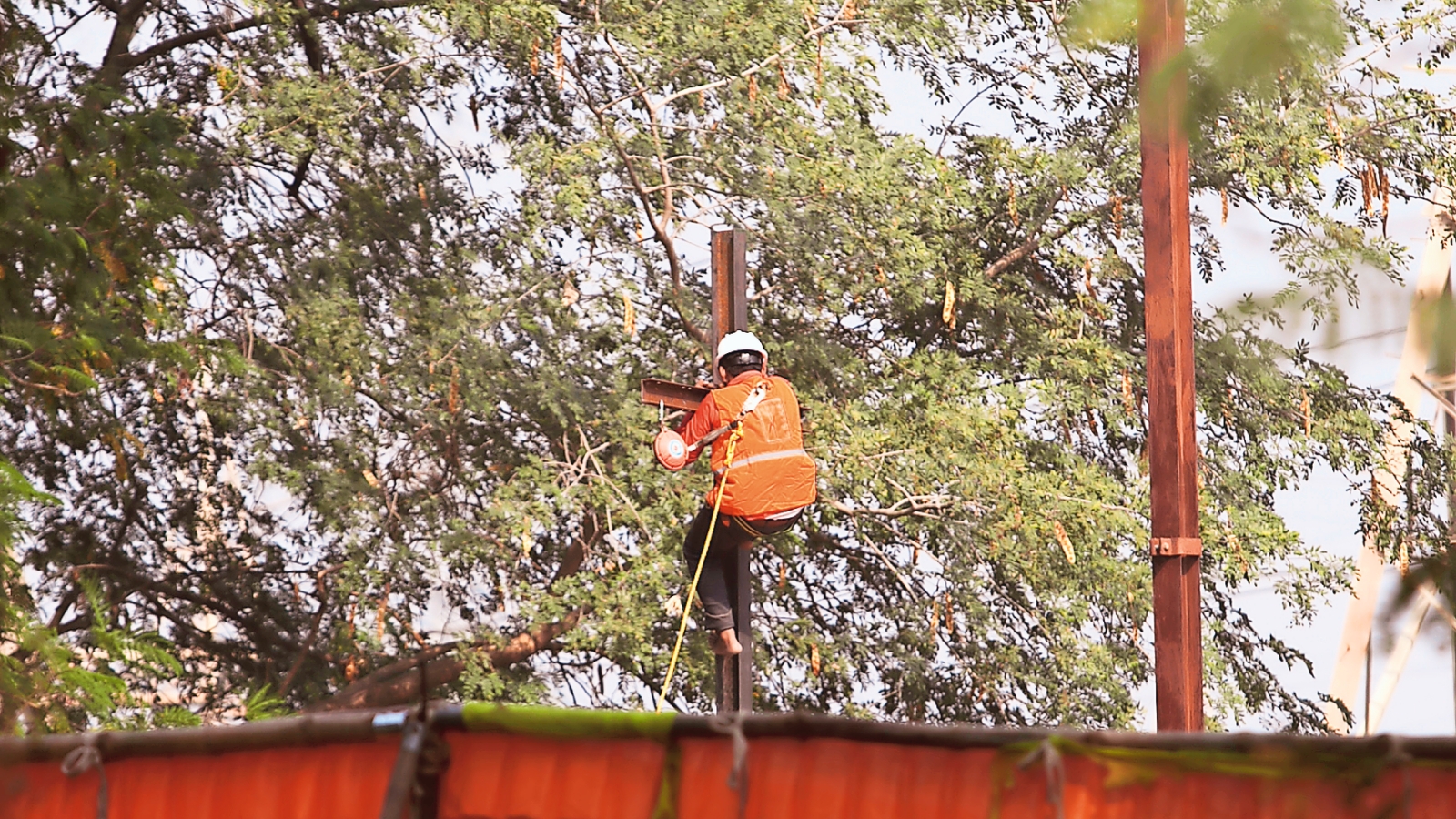 Written re-exam scrapped but pole climbing test held again; two ...