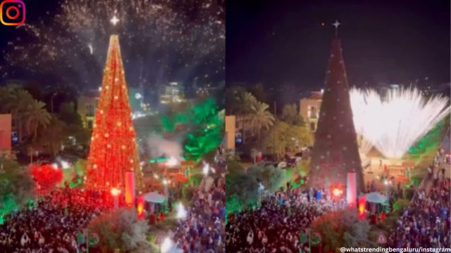 Check out India’s tallest Christmas tree that is 100-feet tall ...