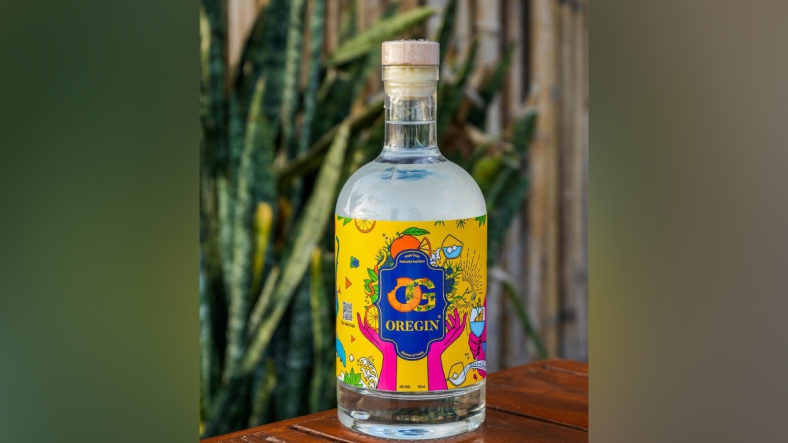 After making waves in Goa, OreGin comes home to origin state Punjab ...
