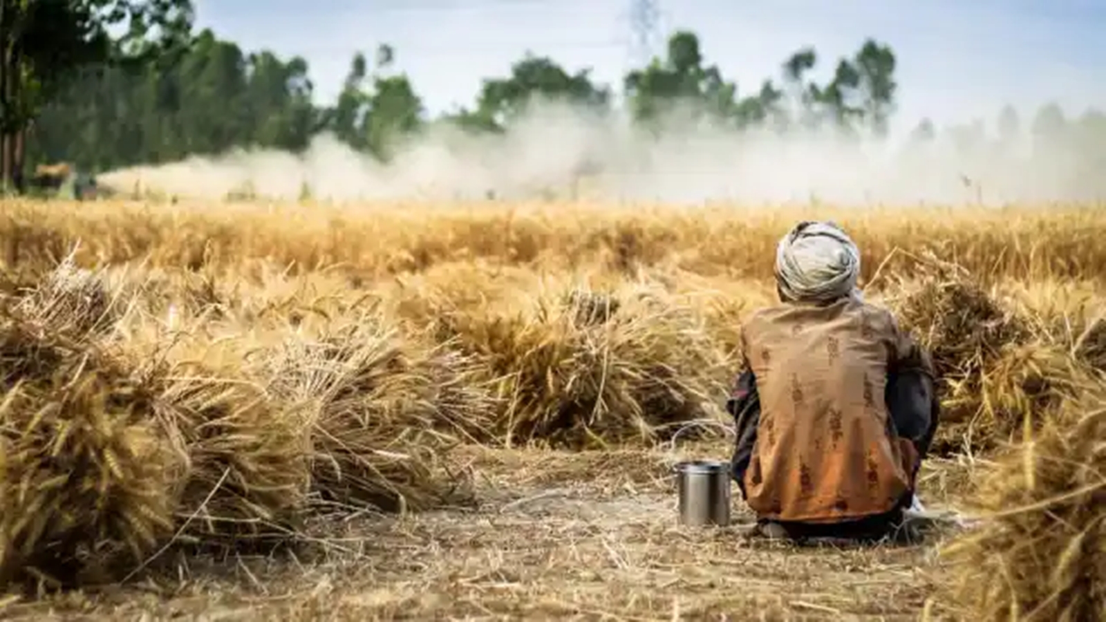 More farm labourers died by suicide after Covid than farmers | Pune ...