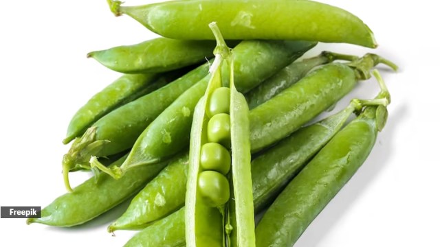 Matar or green peas can help you get strong bones