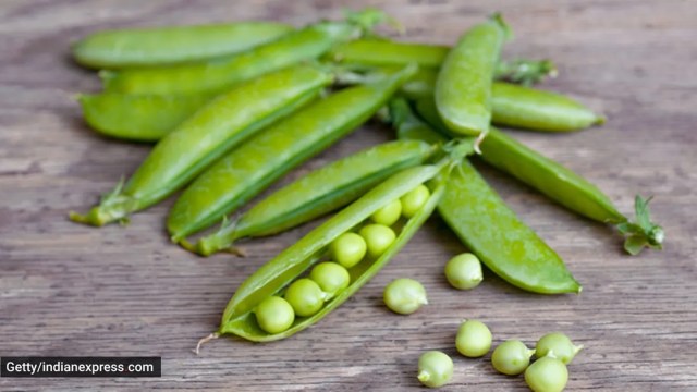 How to store green peas fresh in the fridge for longer | Food-wine News ...
