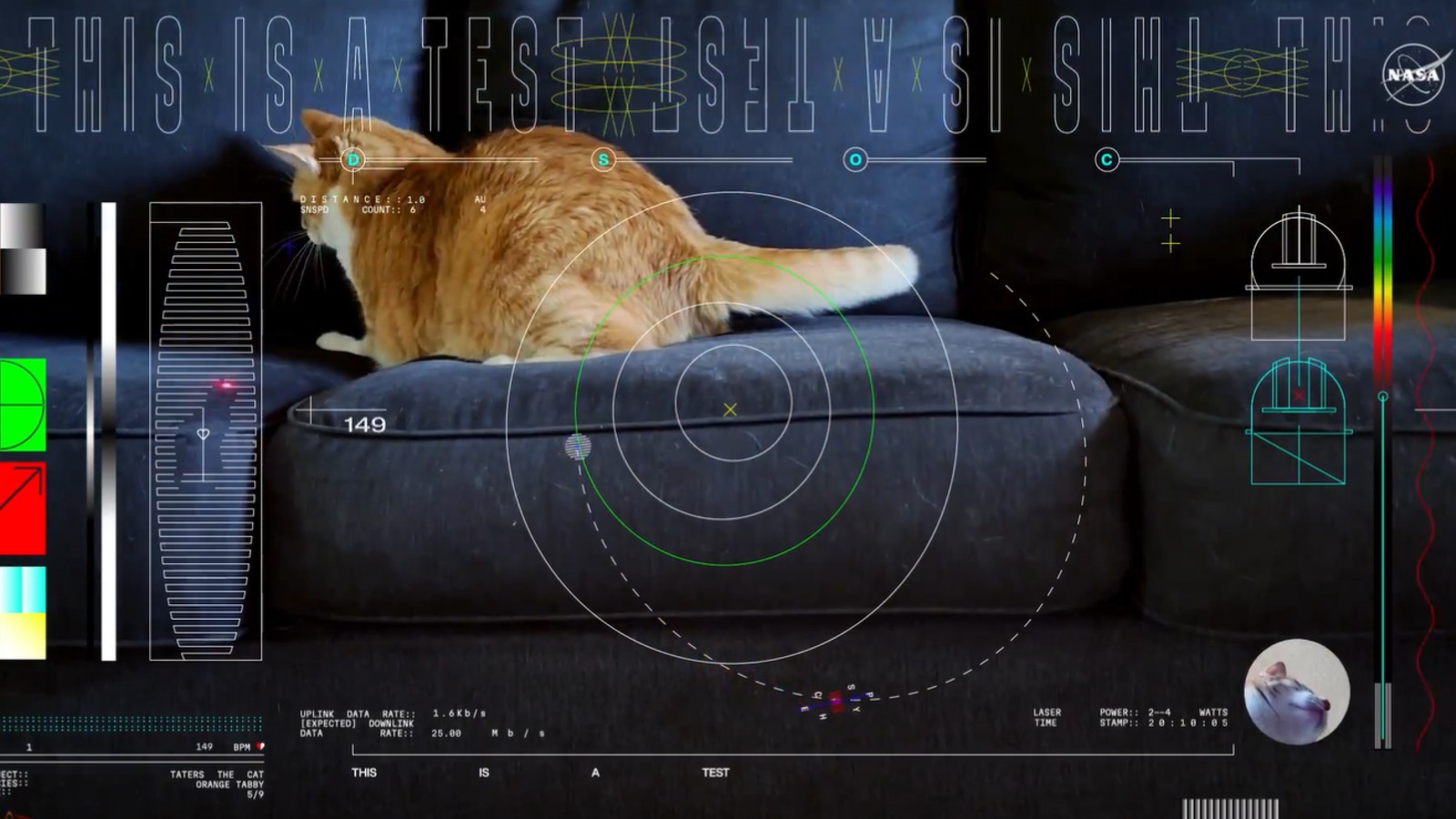 NASA streams cat video from deep, deep space | Technology News - The ...