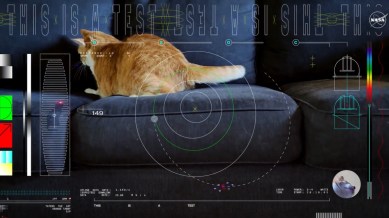 NASA streams cat video from deep, deep space | Technology News - The ...