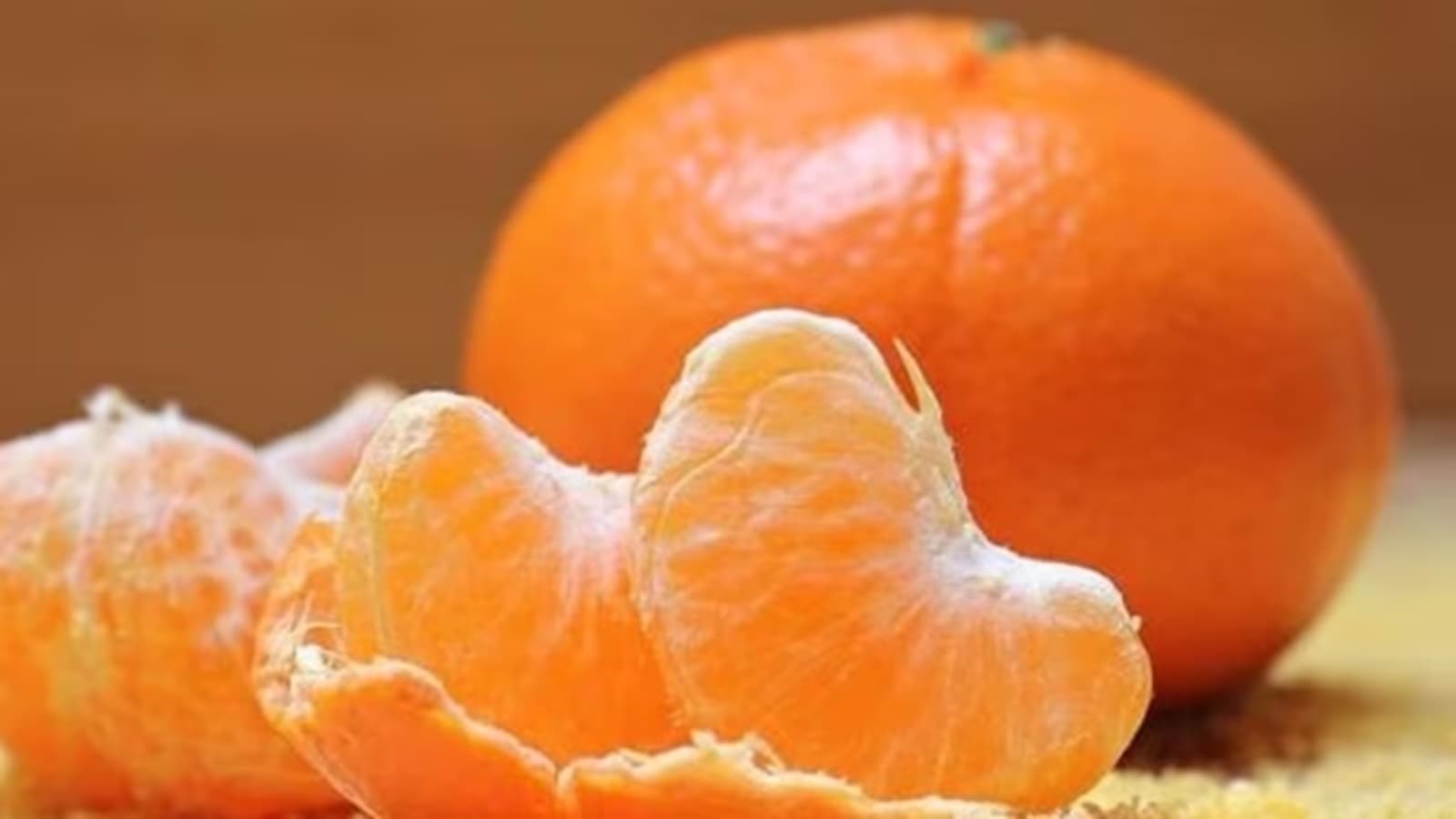 Meghalaya’s Khasi Mandarin oranges grab eyeballs at ZestFest event in ...