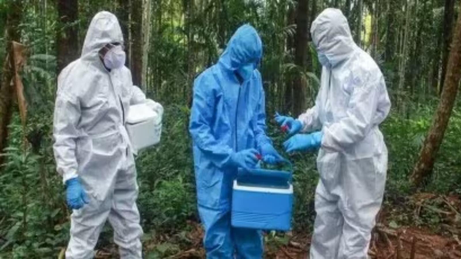 Bangladesh reports first death from Nipah virus this year | World News ... Bangladesh reports first death from Nipah virus this year | World News ...