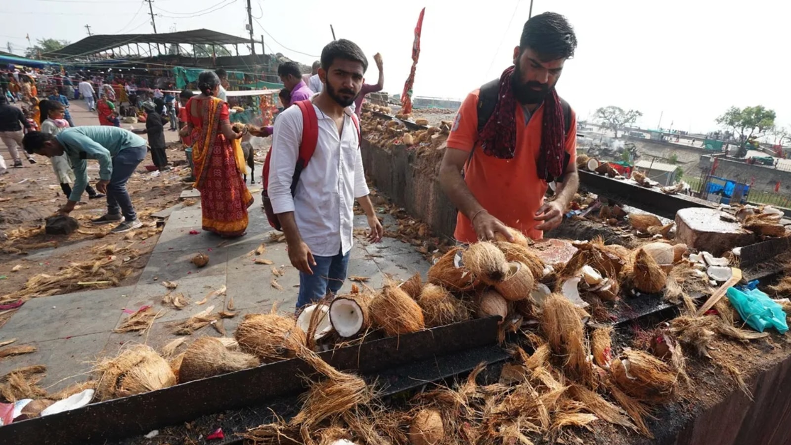 Mumbai’s first coconut waste treatment plant in Sewri treats 12,000 kg ...