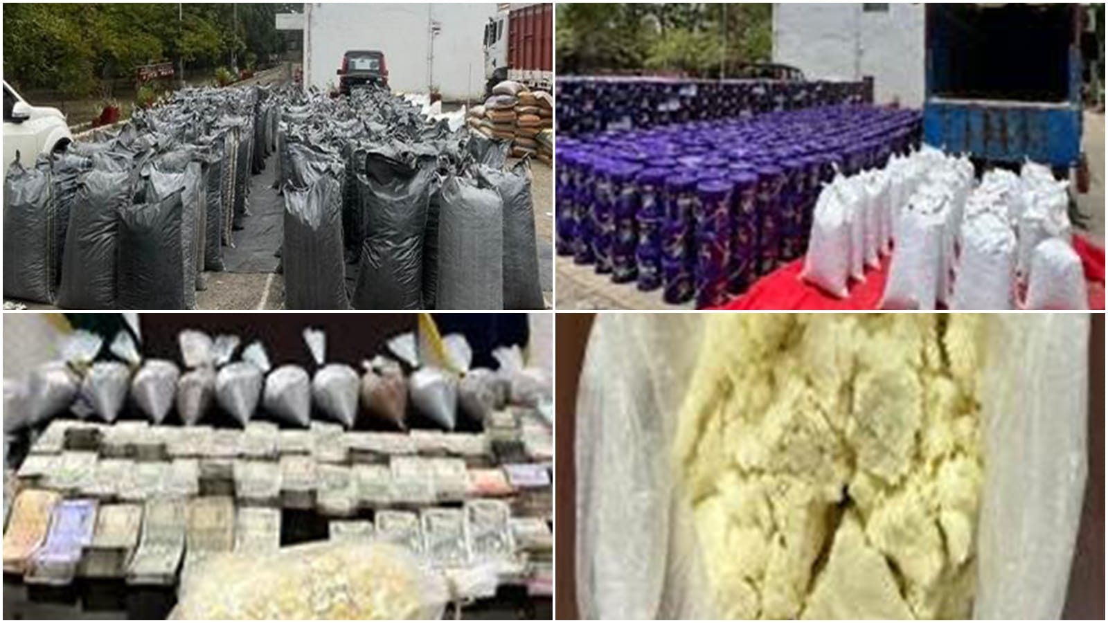 Poppy straw in cattle feed: Recent drug seizures point towards rise in ...