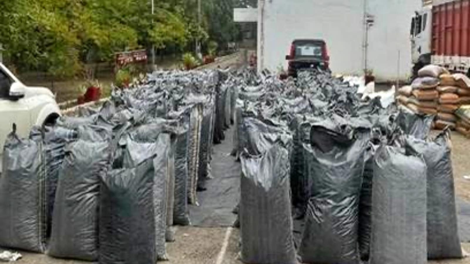 Over 6,000 kg poppy straw seized in Madhya Pradesh, Rajasthan; 2023 ...