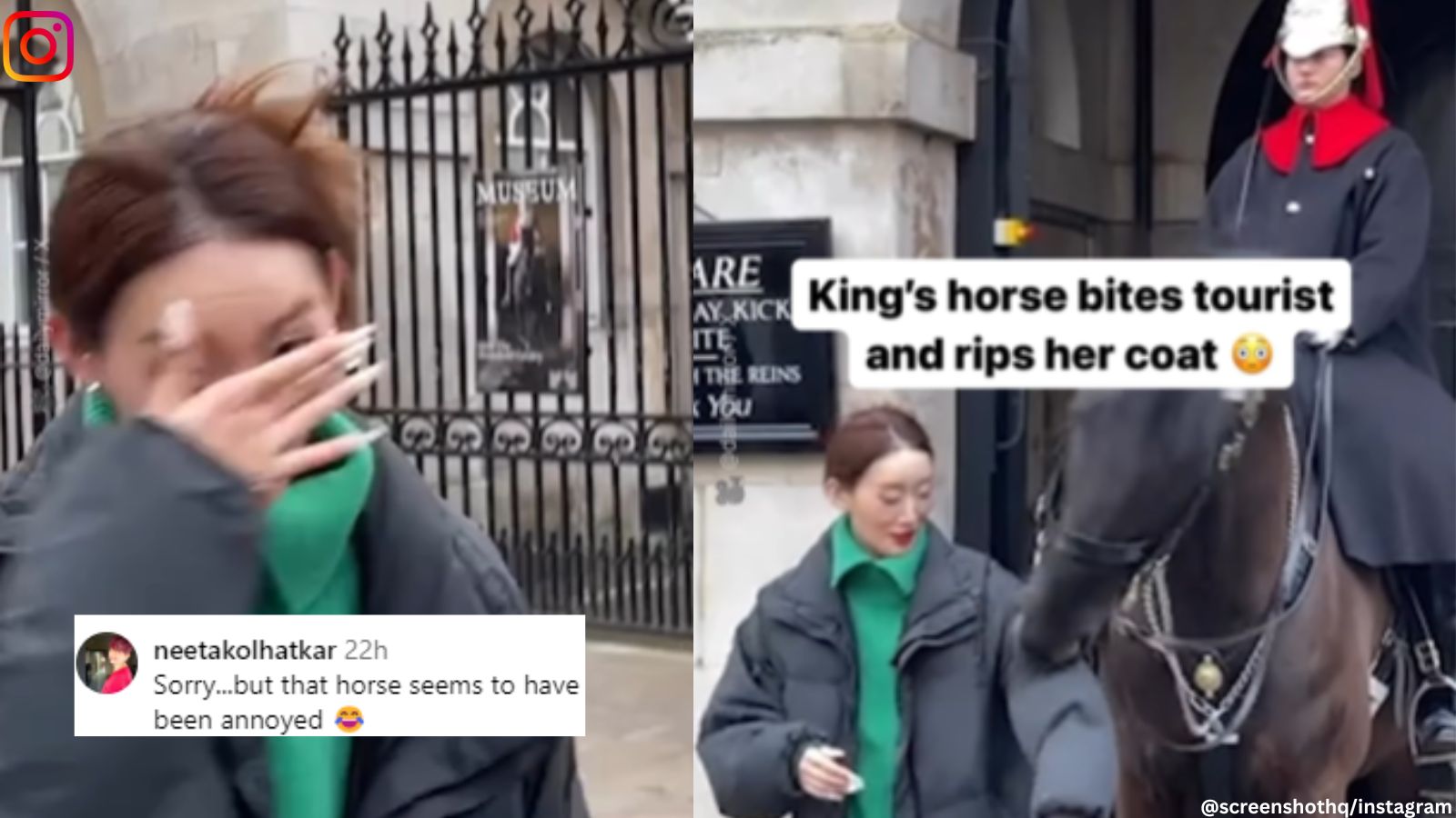 Watch: King’s guard horse bites woman’s coat in Central London, leaves ...