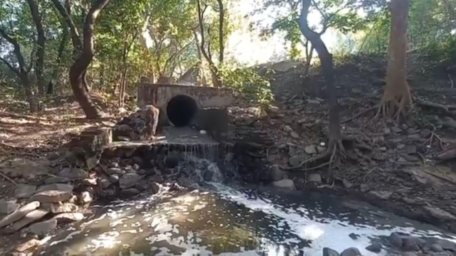 NGT takes suo motu notice of Express report on N-choe | Chandigarh News ...