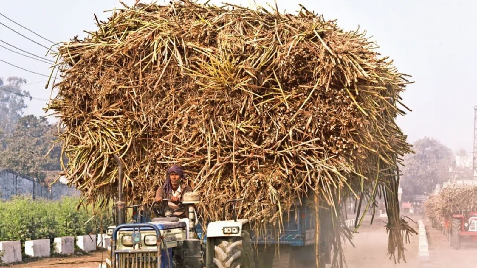 UP dithers over cane price, farmers hope for big hike in poll year ...