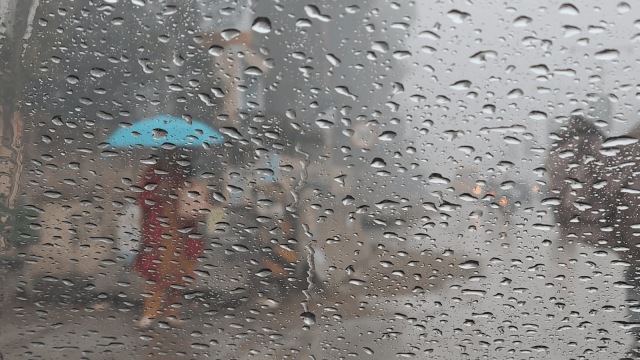 January driest in decades in Punjab, rain and fog likely in Feb ...