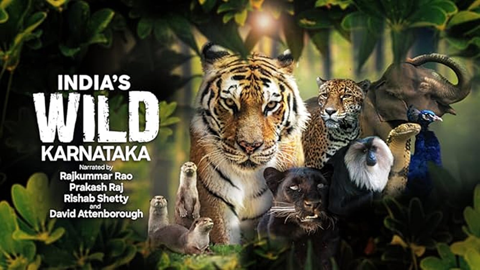 ‘Wild Karnataka’ documentary: High court to frame charges against filmmakers, BBC and Netflix ...