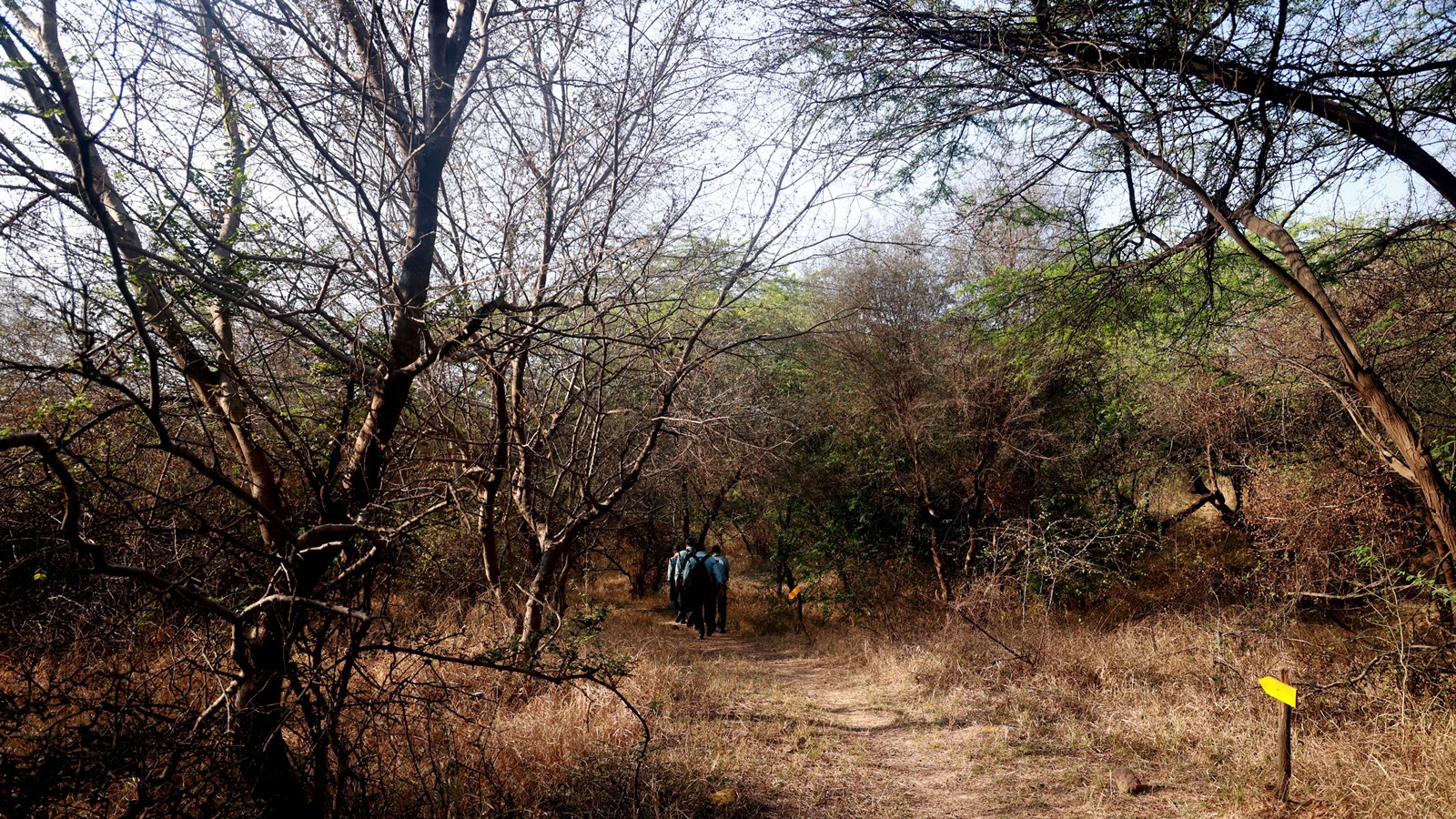 Explicitly state that encroachments are removed in Asola, Central Ridge ...