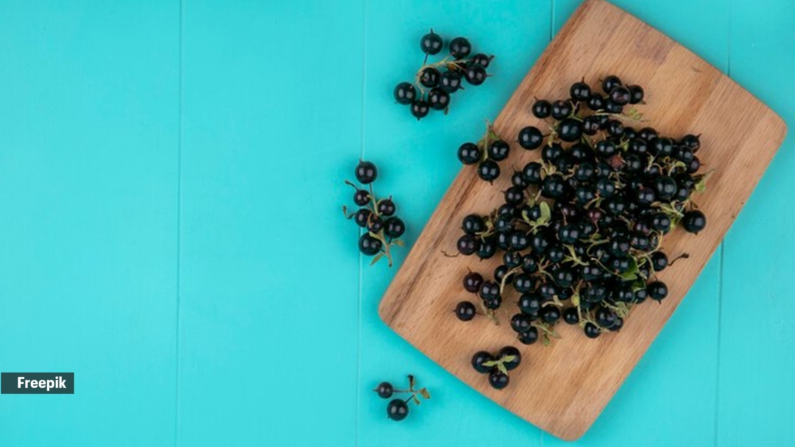 Black currants are the best superfood for yours eye and brain