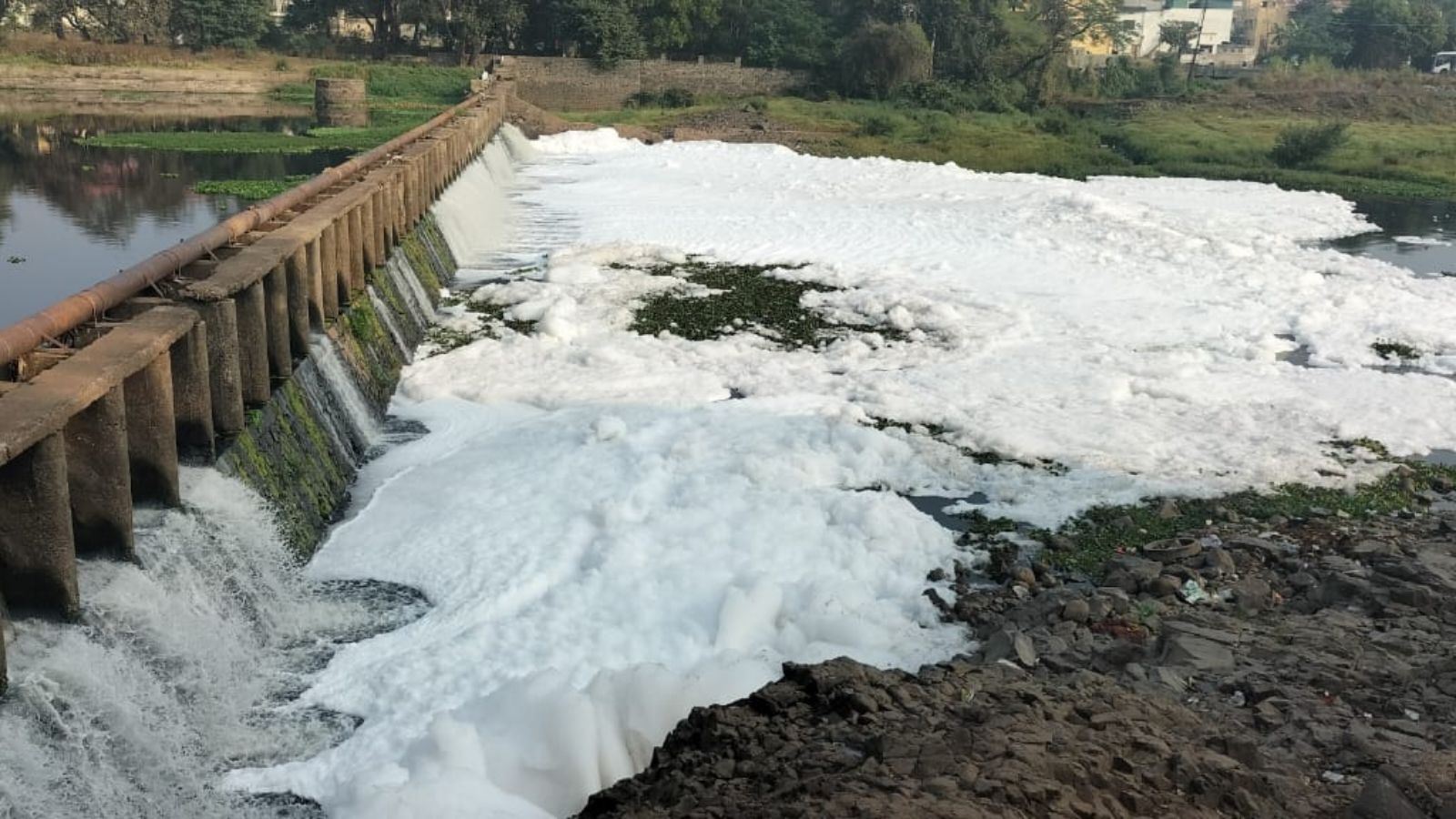 White toxic foam in River Indrayani rankles Maharashtra CM Shinde ...
