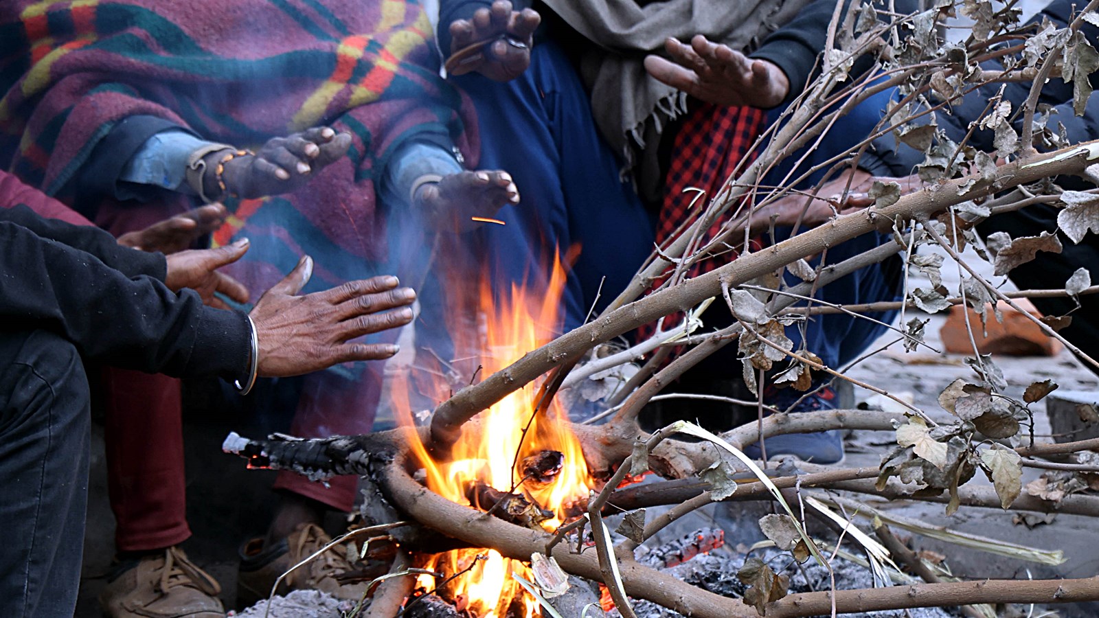 Red alert in Punjab, Haryana as cold tightens grip