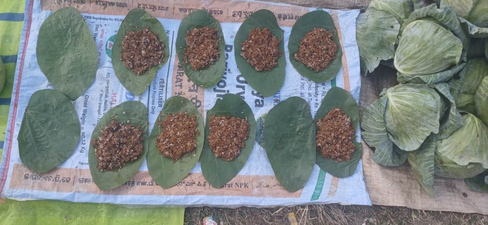 In Bengal, a tribal community dependant on forests for survival learns ...