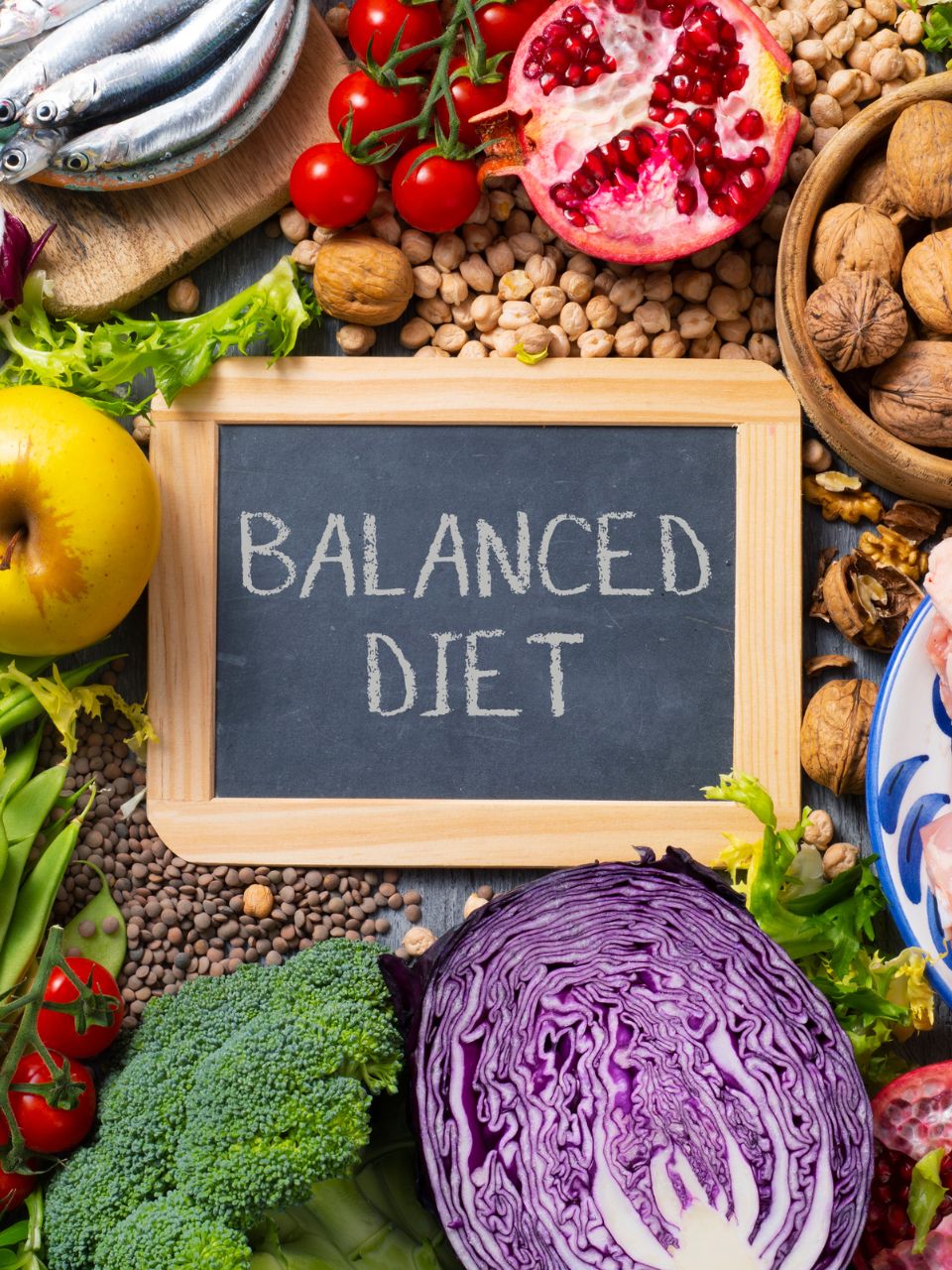 Understanding protein sources for a balanced diet