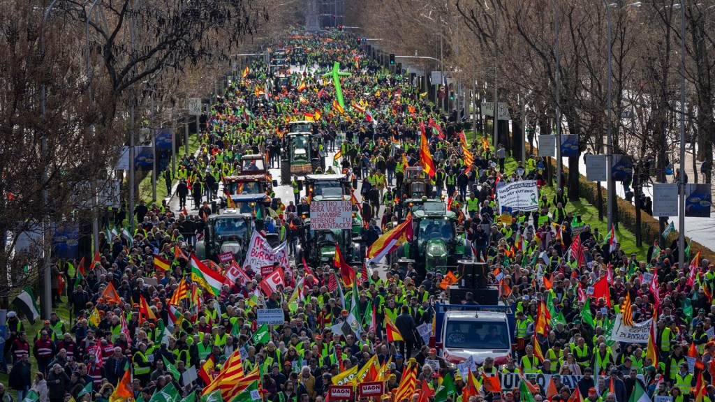 EU Parliament passes nature law despite political backlash | World News ...