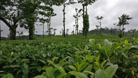 Top travel destinations in India: List of destinations in India to ...