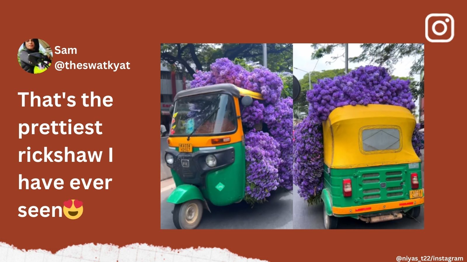 Stuffed with Tabebuia blooms, Bengaluru autorickshaw becomes ‘a thing ...