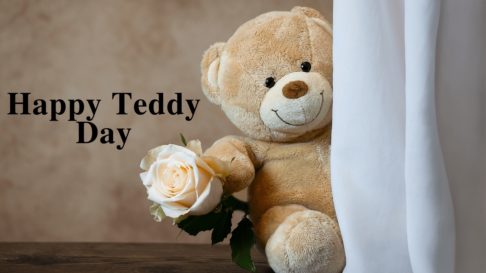 Teddy Day 2024: Top wishes and quotes for your loved ones | Trending ...