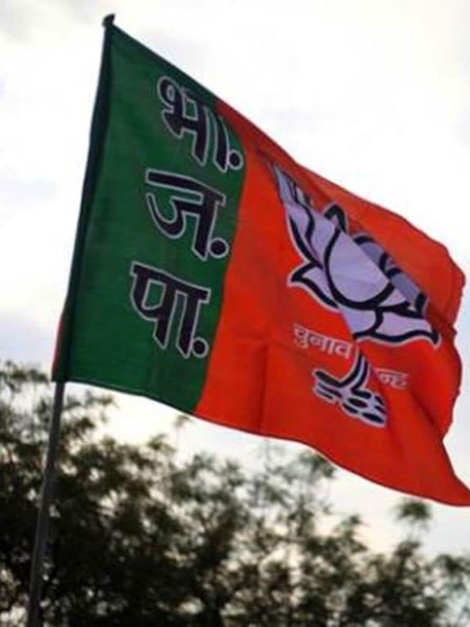 BJP goes in for Rajya Sabha overhaul
